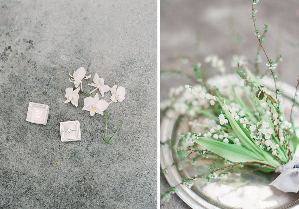 Romantic Formal Engagement Session at The Swan House: Rita & Robin ...