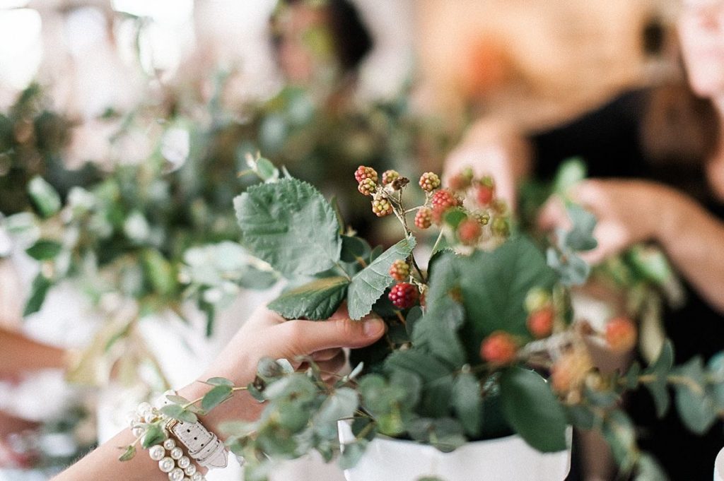 Artist Feature: Shean Strong – The White Wren