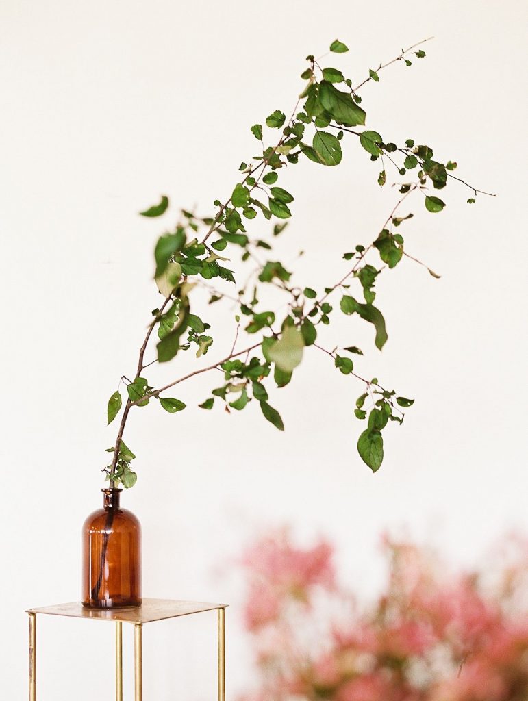 Artist Feature: Shean Strong – The White Wren