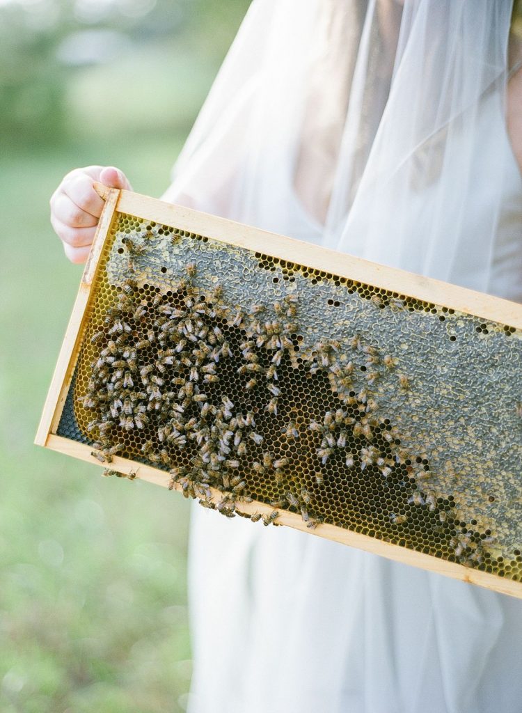 Nature Bridal Inspiration with Honey Bees - The White Wren