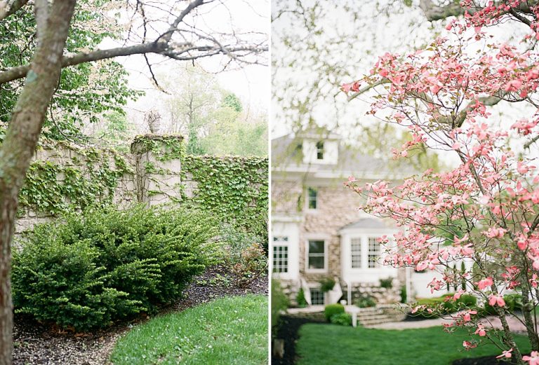Springtime Romance at Halestine Estate - The White Wren