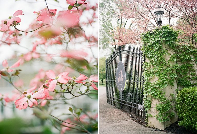 Springtime Romance at Halestine Estate - The White Wren