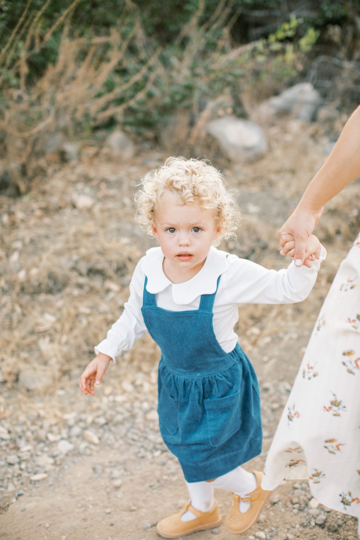 Foster Family Baby Announcement – The White Wren