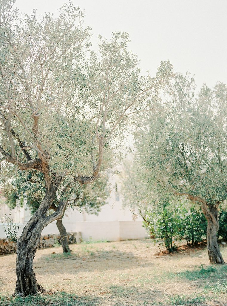 Mediterranean Wedding Inspiration with Lavender & Lemon Details - The ...