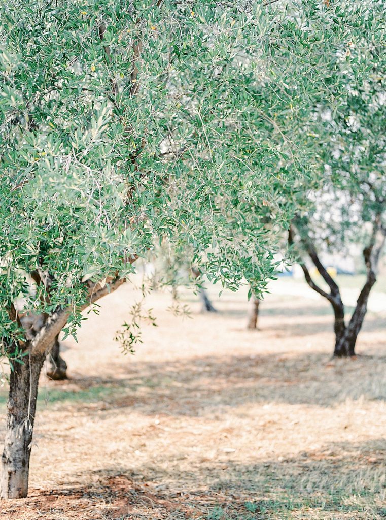 Mediterranean Wedding Inspiration with Lavender & Lemon Details - The ...