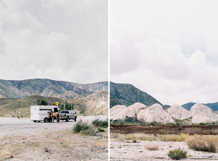 A Cowboy Country Proposal – The White Wren