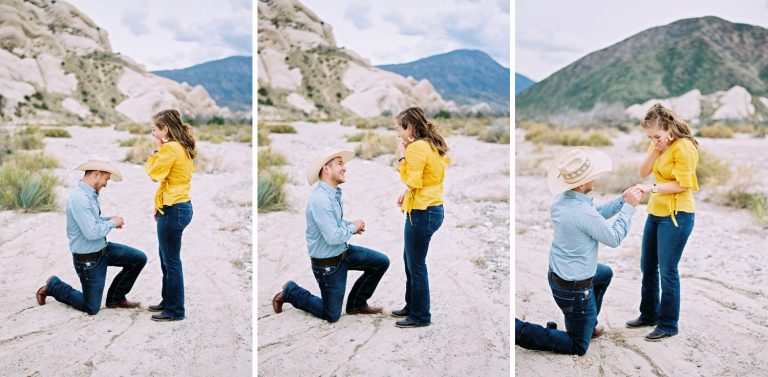 A Cowboy Country Proposal – The White Wren