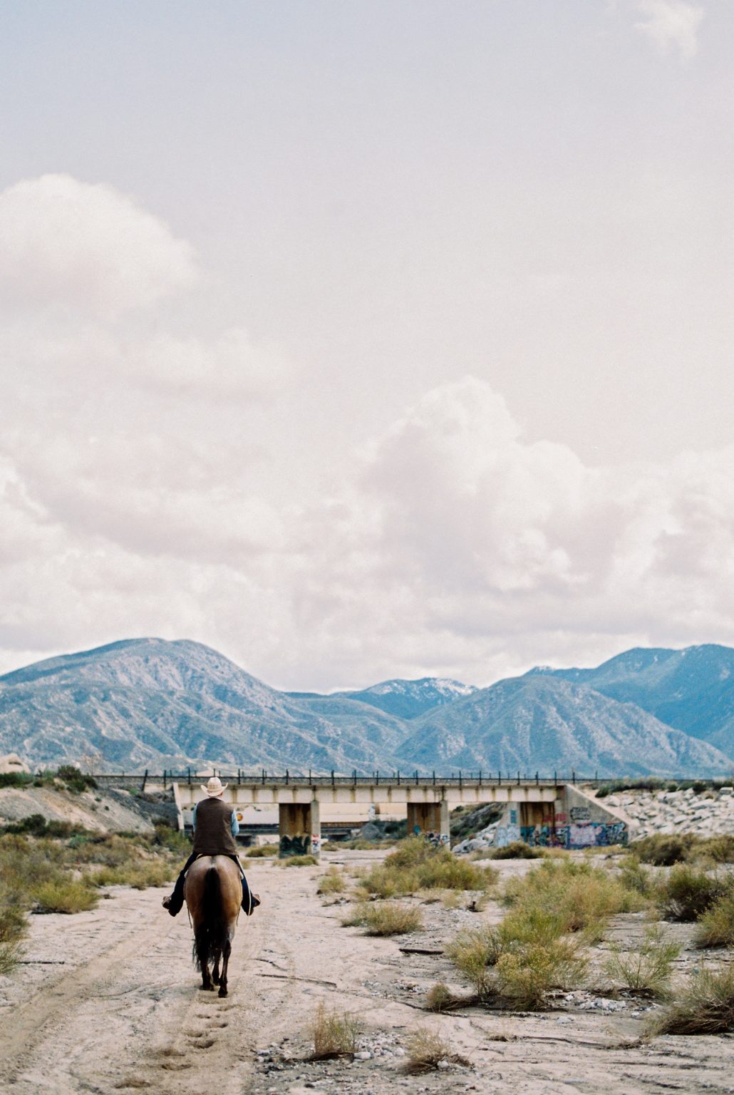 A Cowboy Country Proposal – The White Wren