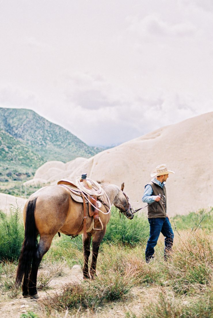 A Cowboy Country Proposal – The White Wren