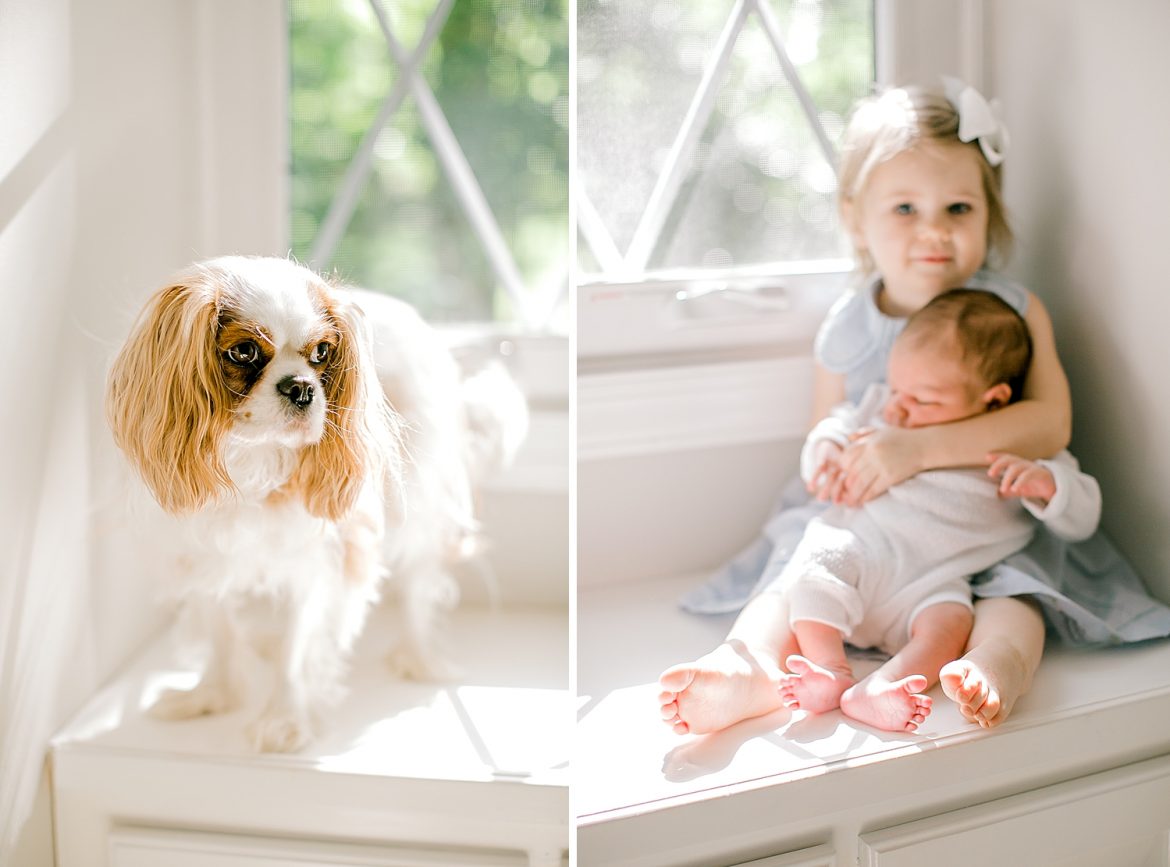 Baby Ward Newborn Photos - The White Wren
