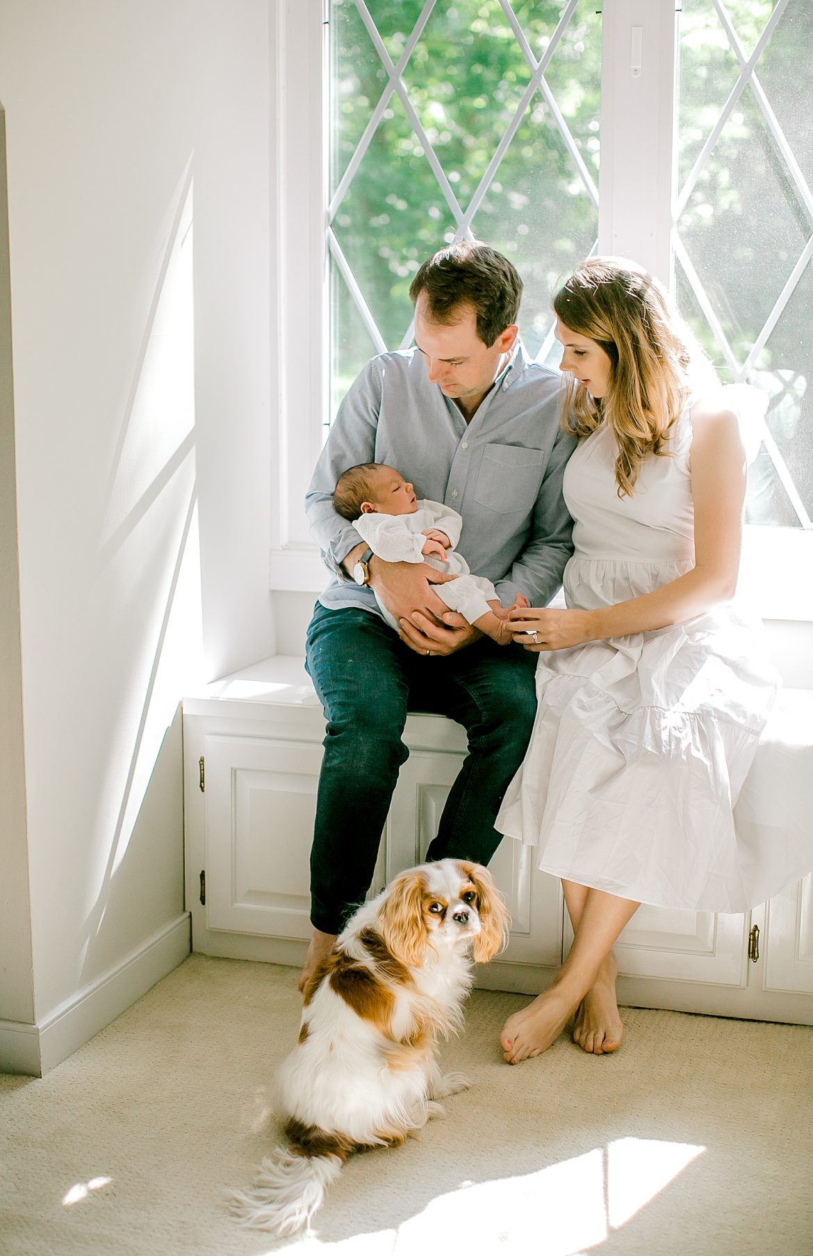 Baby Ward Newborn Photos - The White Wren
