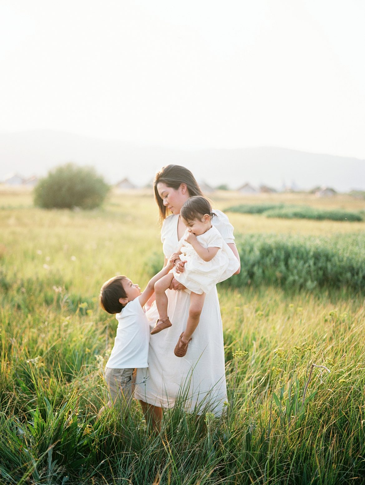 The Lewis Family - The White Wren
