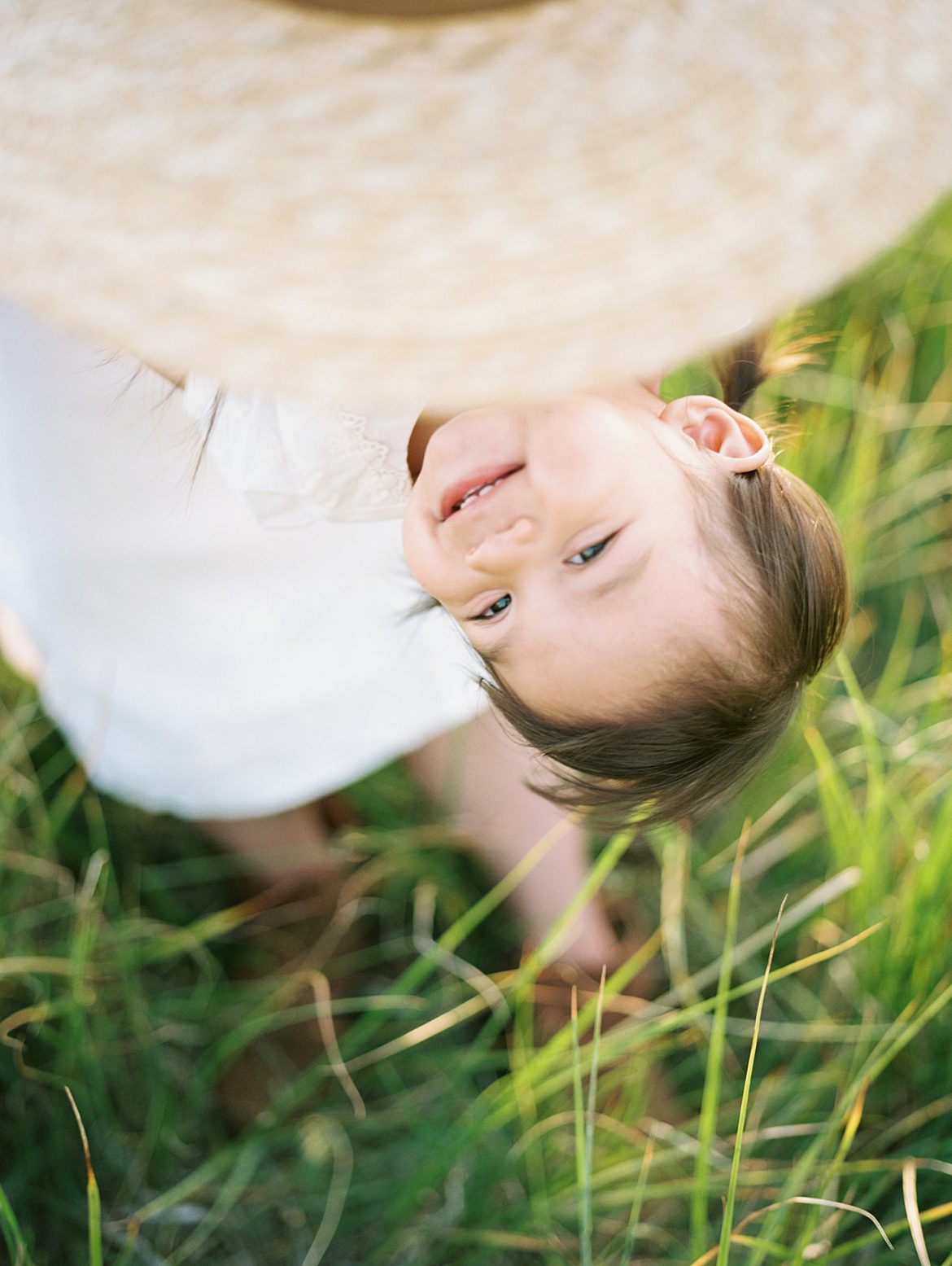 The Lewis Family – The White Wren