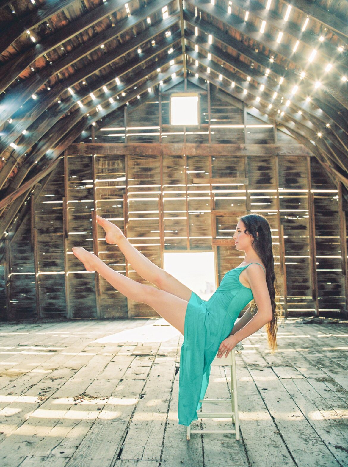 The Dancer - The White Wren
