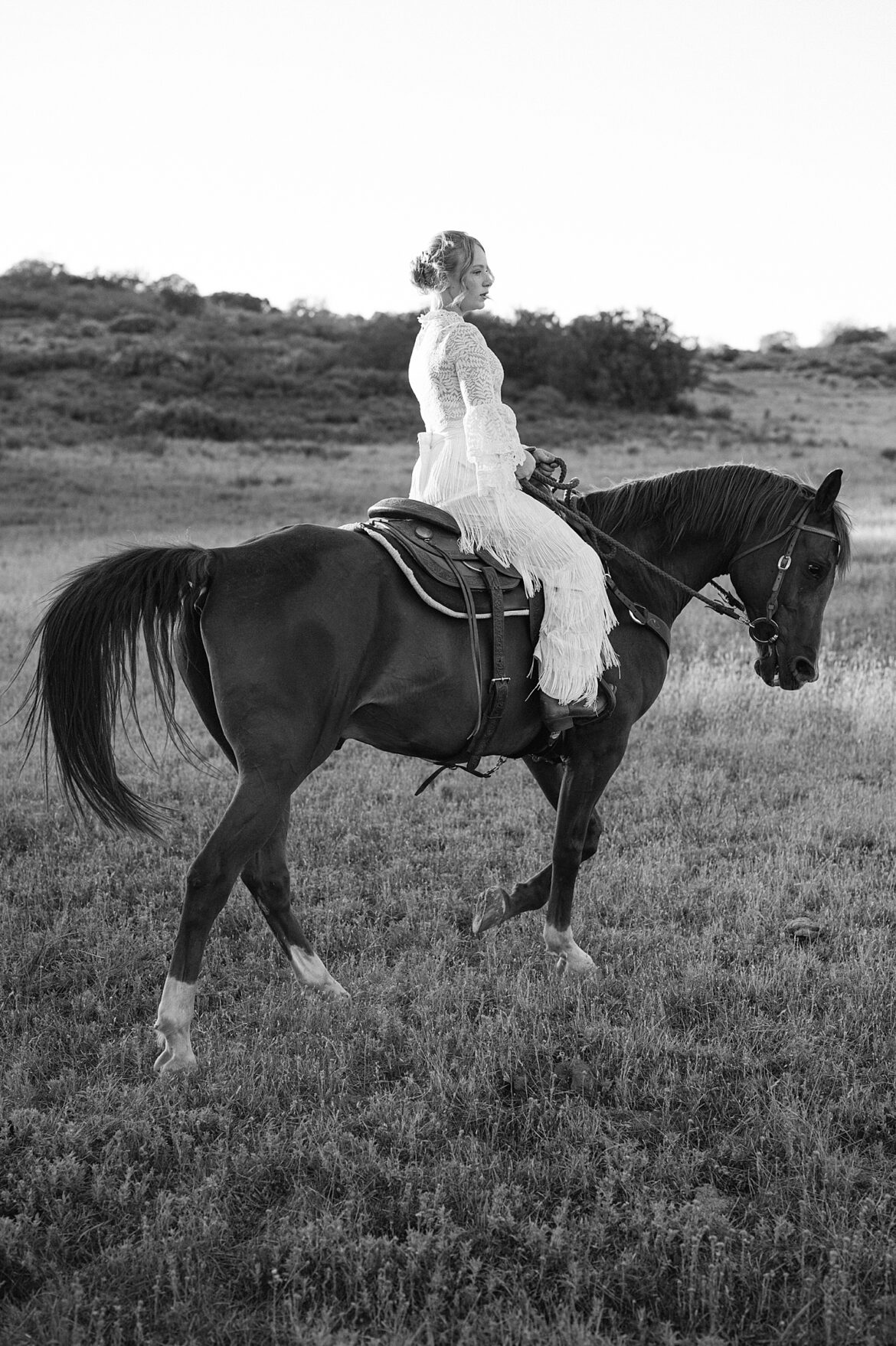 Kate + Horses - The White Wren