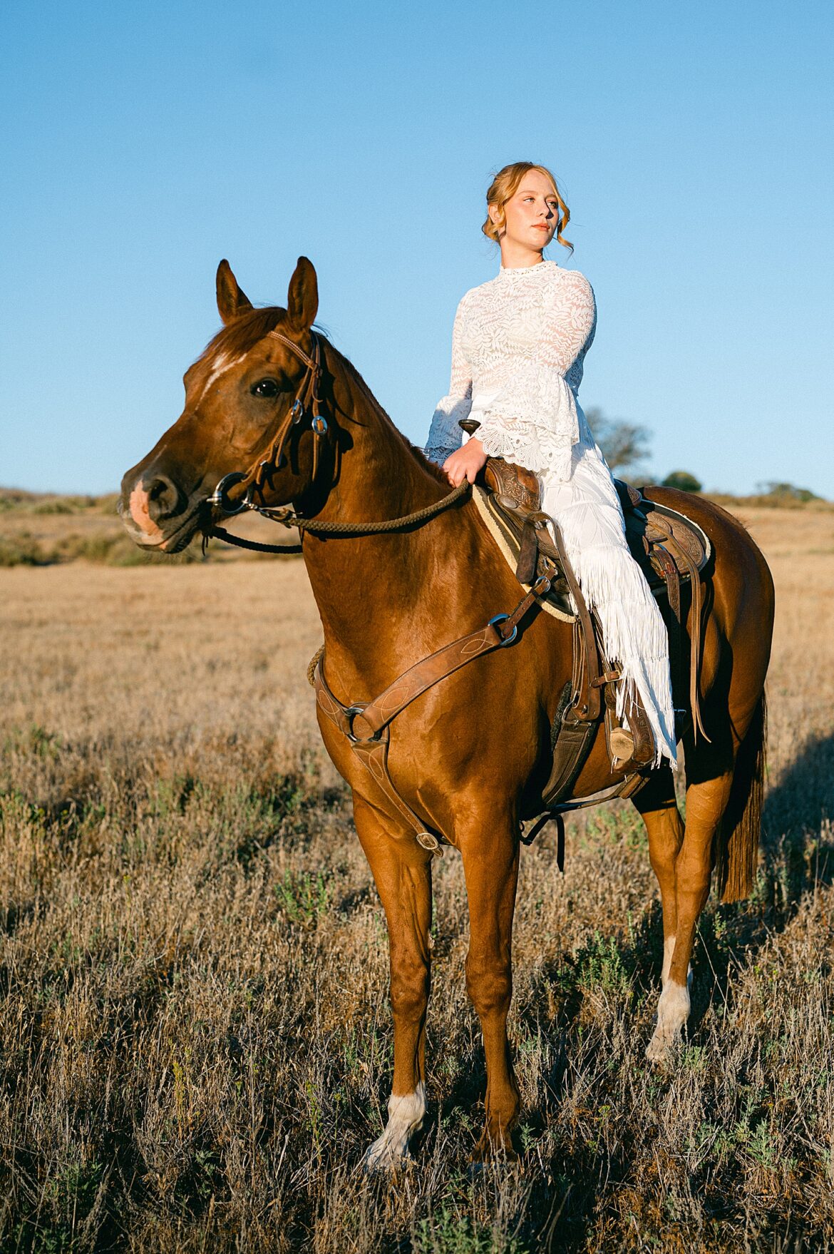 Kate + Horses – The White Wren