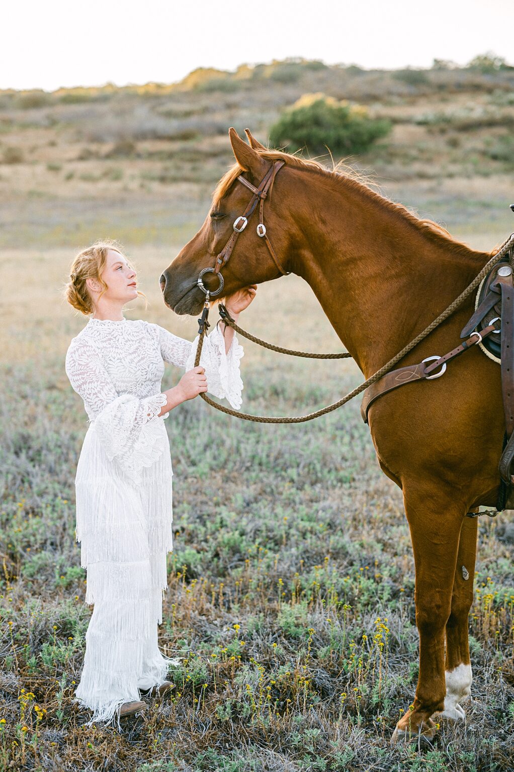 Kate + Horses – The White Wren