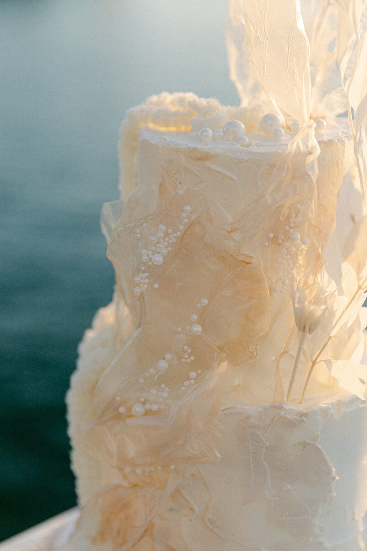 An Ethereal Escapade at Sea – The White Wren