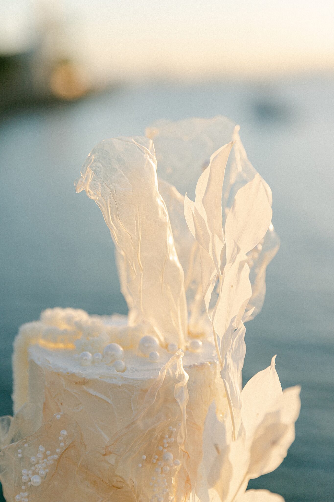An Ethereal Escapade at Sea - The White Wren