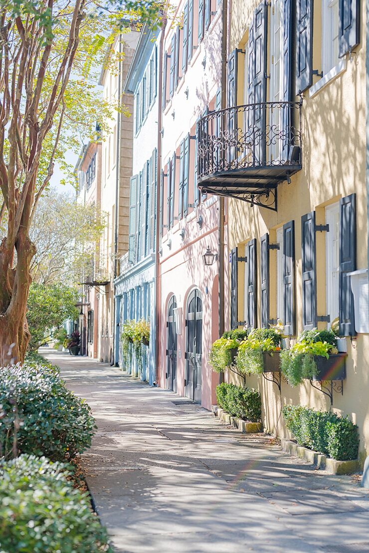 Charleston with Michael & Christie - The White Wren
