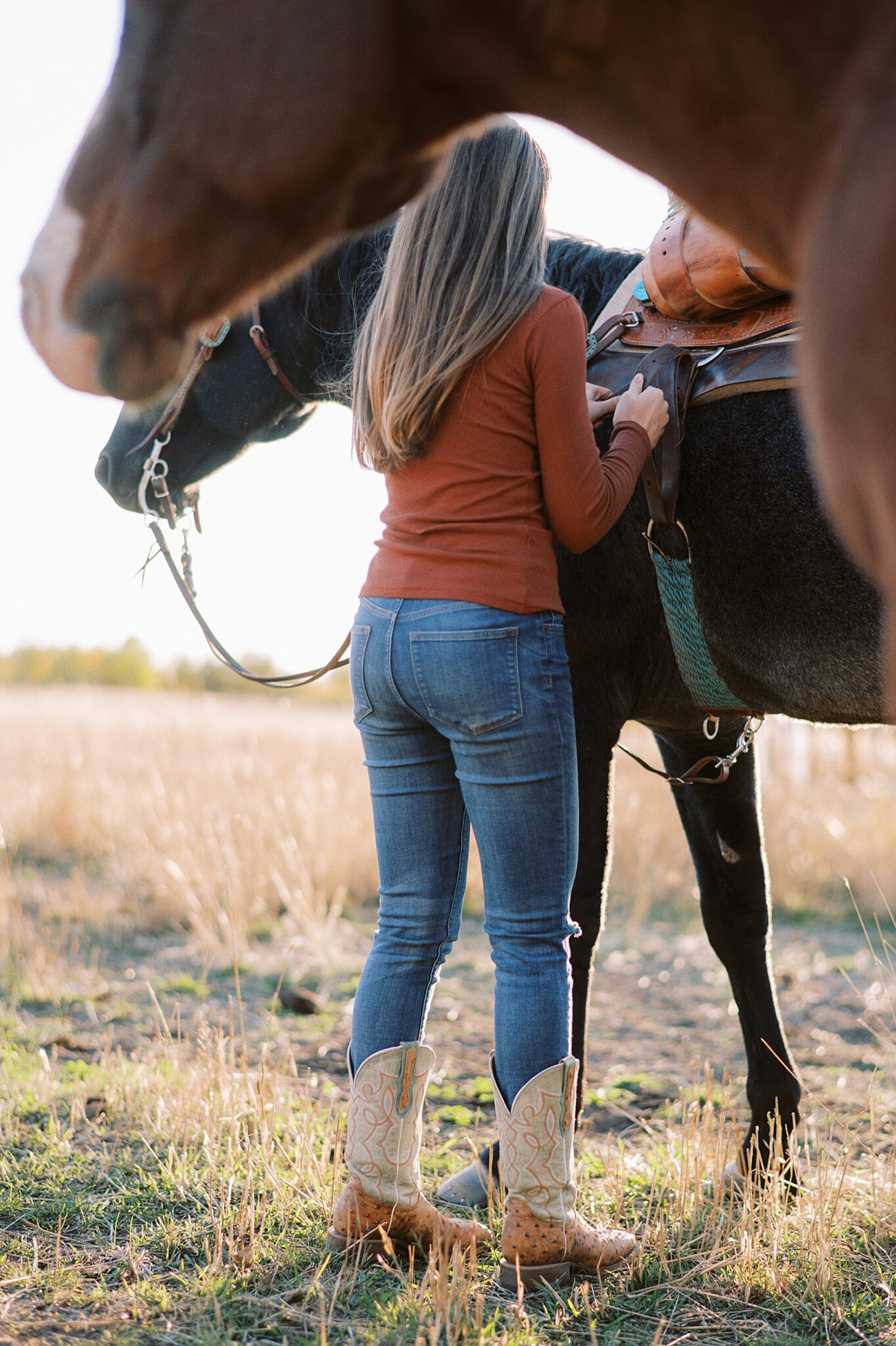 Everyday Session with the Bassham Family – The White Wren