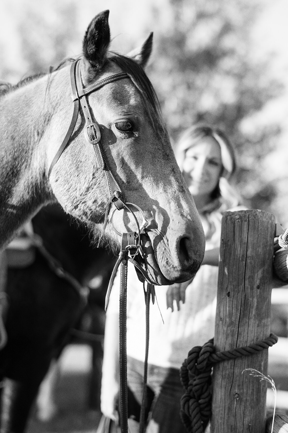 Everyday Session with the Bassham Family – The White Wren