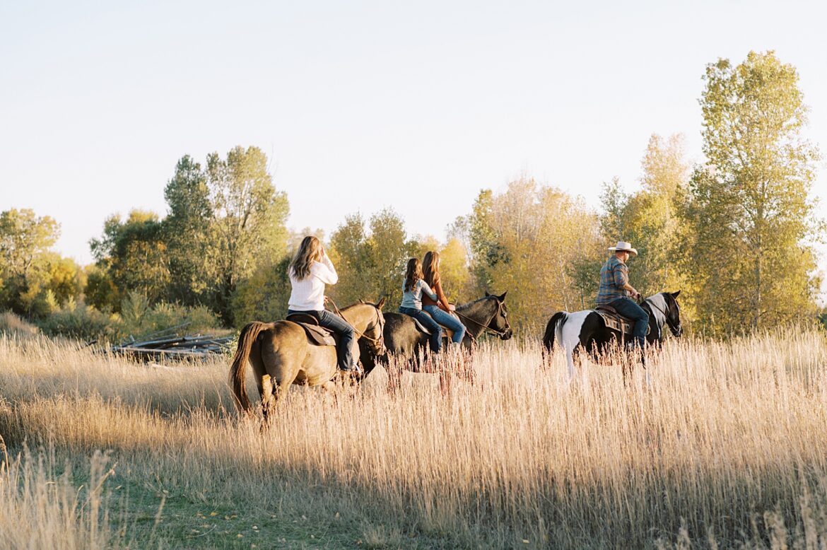 Everyday Session with the Bassham Family – The White Wren