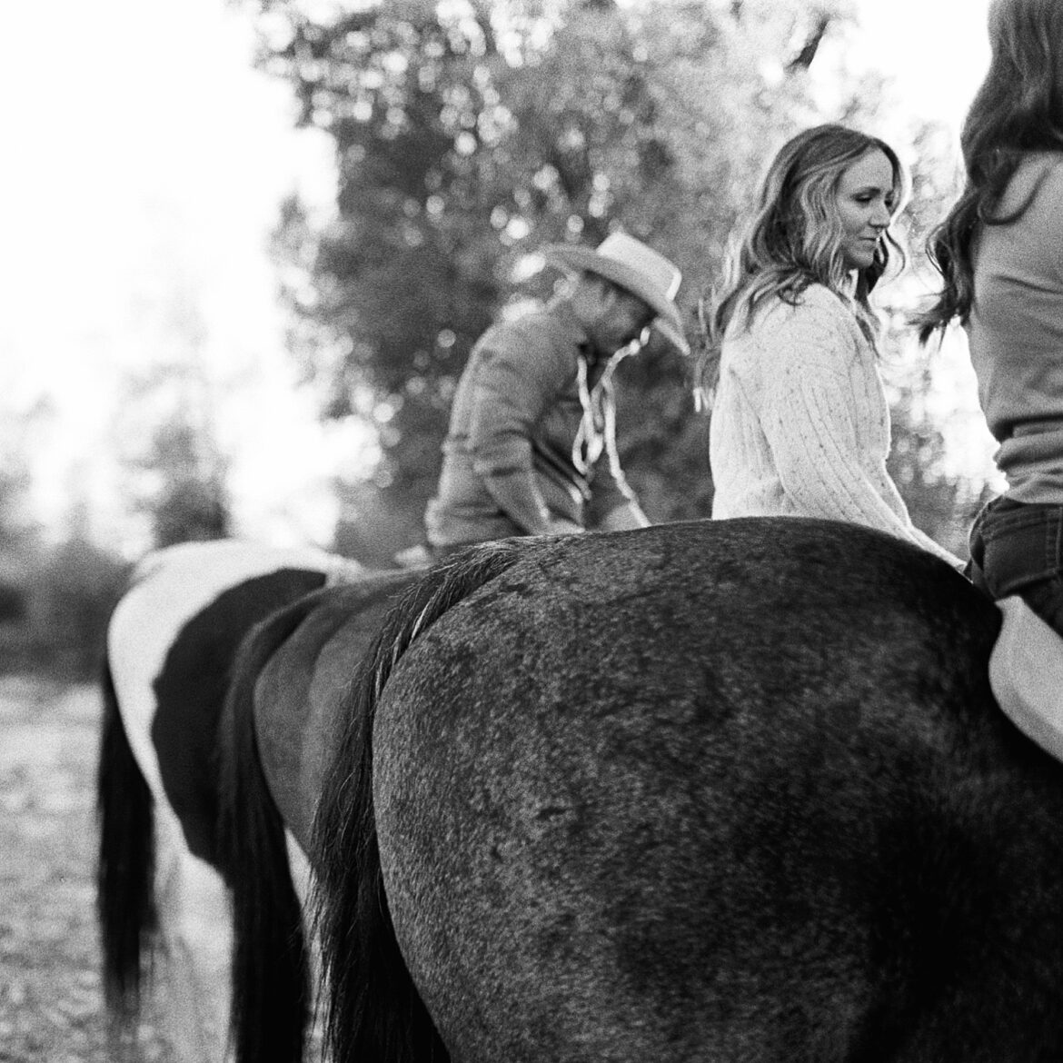 Everyday Session with the Bassham Family – The White Wren