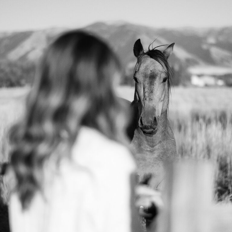 Everyday Session with the Bassham Family – The White Wren