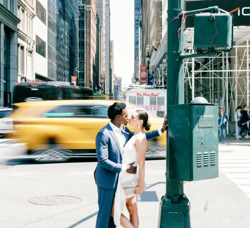 The White Wren – an authentic collection of organically inspired ...